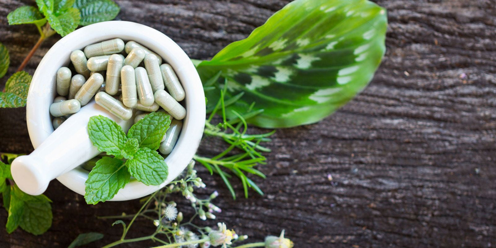 our philosophy buddha discovered the secret of dhamma dharma the law of ...